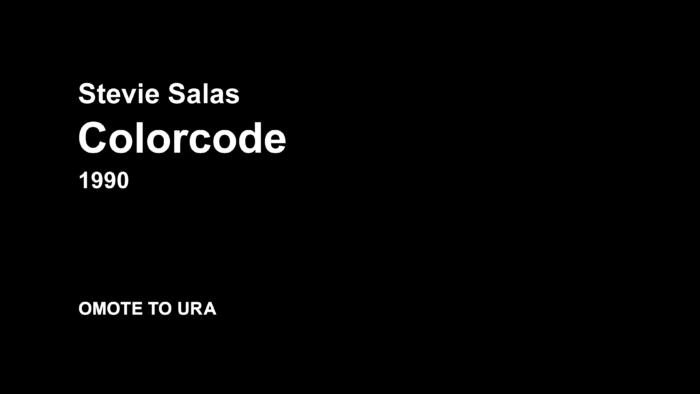 Stevie Salas「Colorcode」